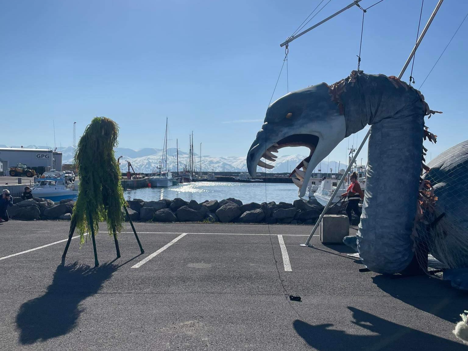 BEWARE THE SEA MONSTERS | Gentle Giants Whale Watching Husavik Iceland